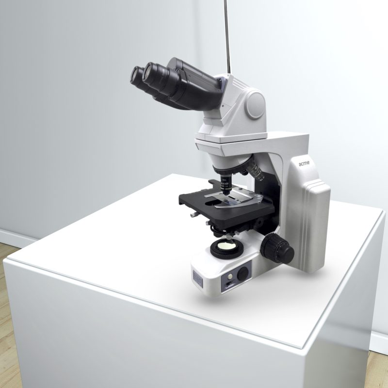 Leitz HM-LUX Compound Microscope
