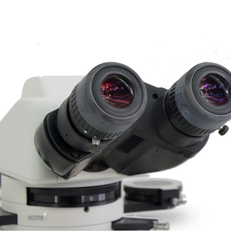 Nikon E400 Microscope For SALE