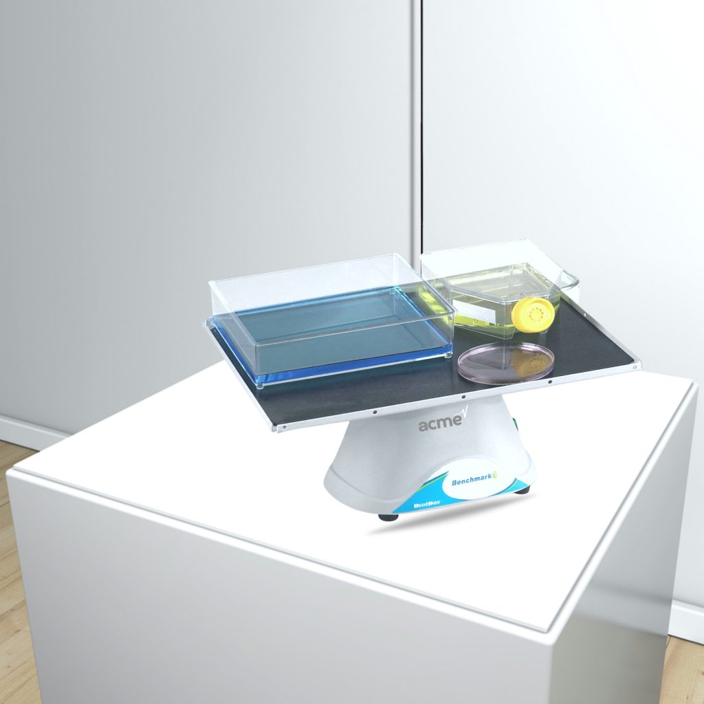 Orbital, Platform & Vortex Shakers Archives - Acme Revival