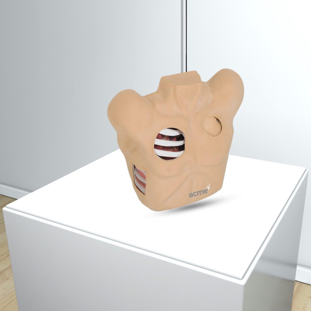 Training Manikins & Patient Simulators Archives - Acme Revival