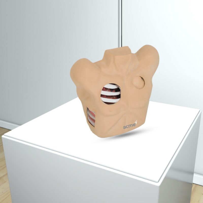 Training Manikins & Patient Simulators Archives - Acme Revival