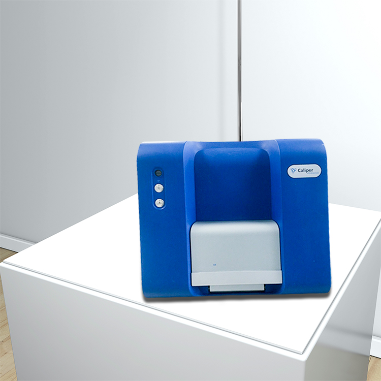 Gel Electrophoresis Systems Archives - Acme Revival